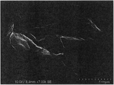 HG_T 5573-2019 石墨烯锌粉涂料