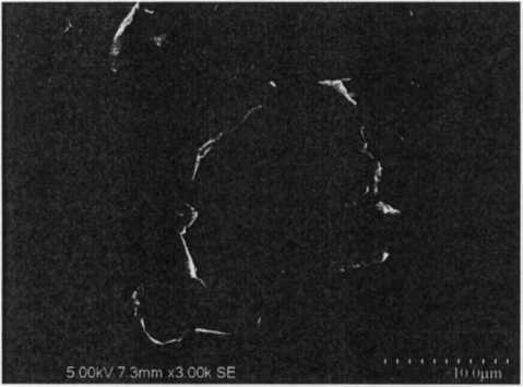 HG_T 5573-2019 石墨烯锌粉涂料