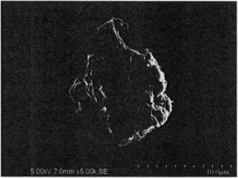 HG_T 5573-2019 石墨烯锌粉涂料